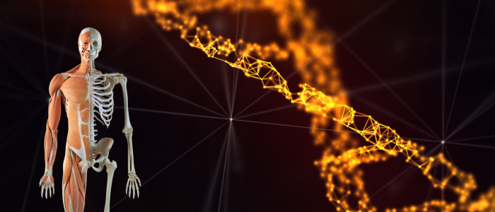 Genetically Humanized Mouse Models - Mouse Biology Program