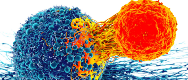 PDX Models - Mouse Biology Program