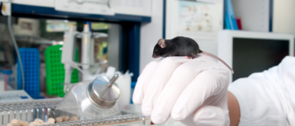 Behavioral Phenotyping - Mouse Biology Program