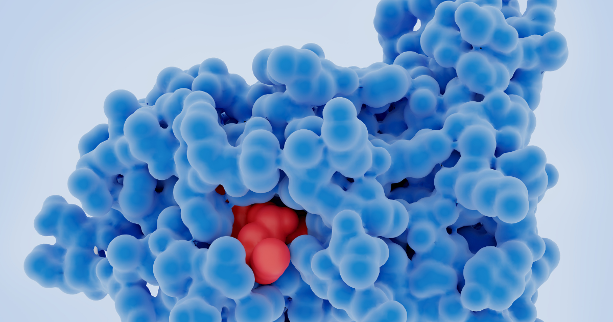 Oncology & Immuno-Oncology - Mouse Biology Program