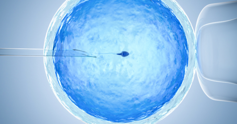 In Vitro Fertilization Kit - Mouse Biology Program