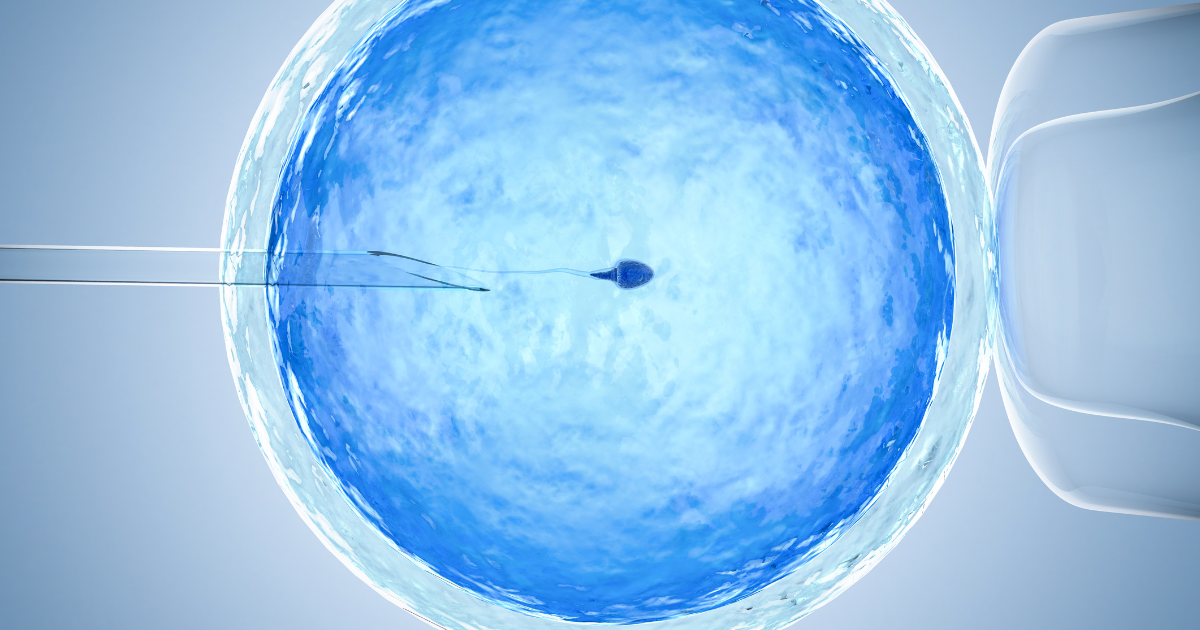 In Vitro Fertilization Kit - Mouse Biology Program